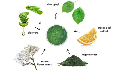 Chlorophyll Lifting Masque Updated December 2025 – Skin Care By Suzie